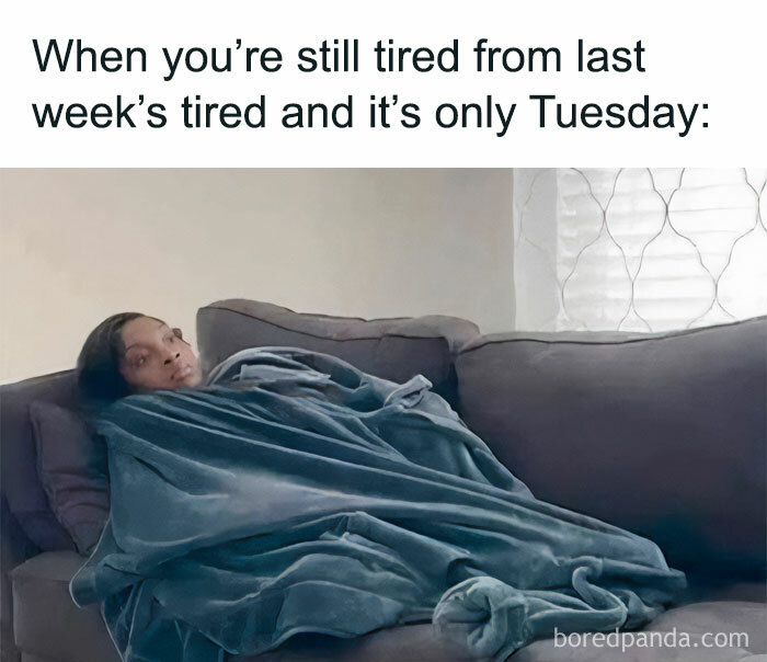 50 Tuesday Memes To Get Your Week Started - Gistingnow